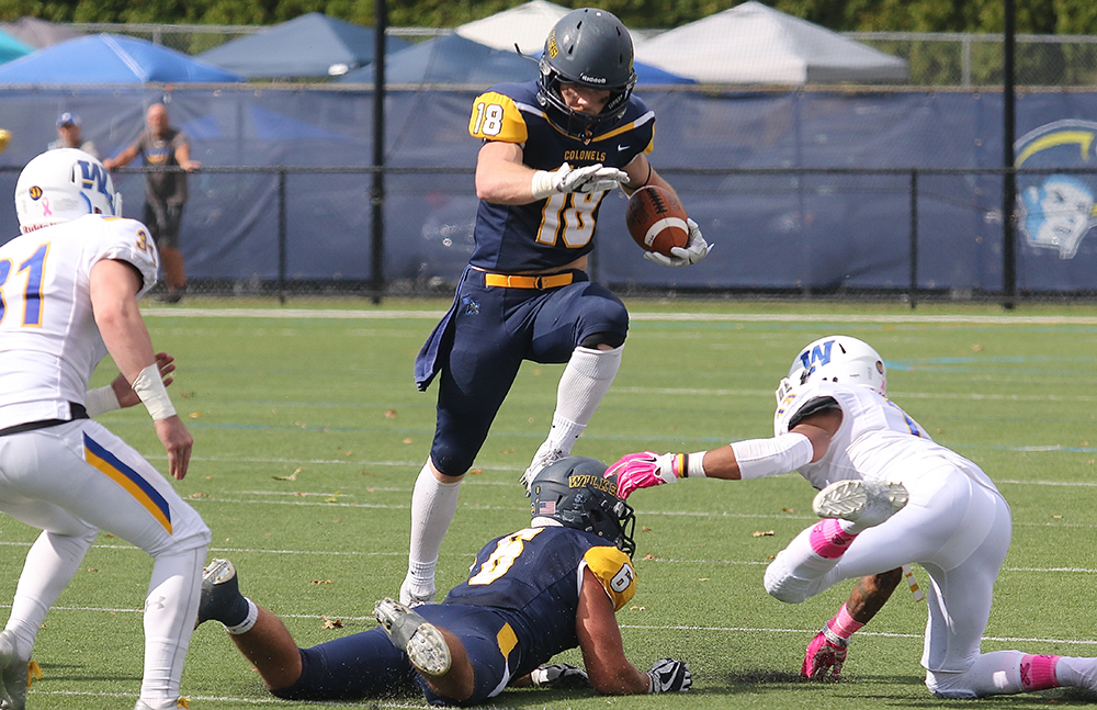 Jeff Steeber - 2018 - Football - Wilkes University Athletics