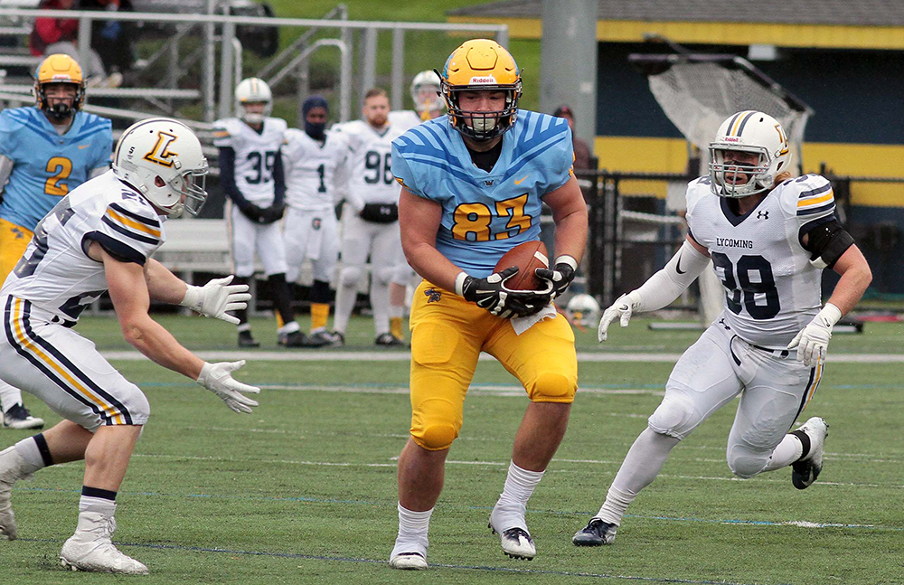 Bryce Harrison - 2019 - Football - Wilkes University Athletics