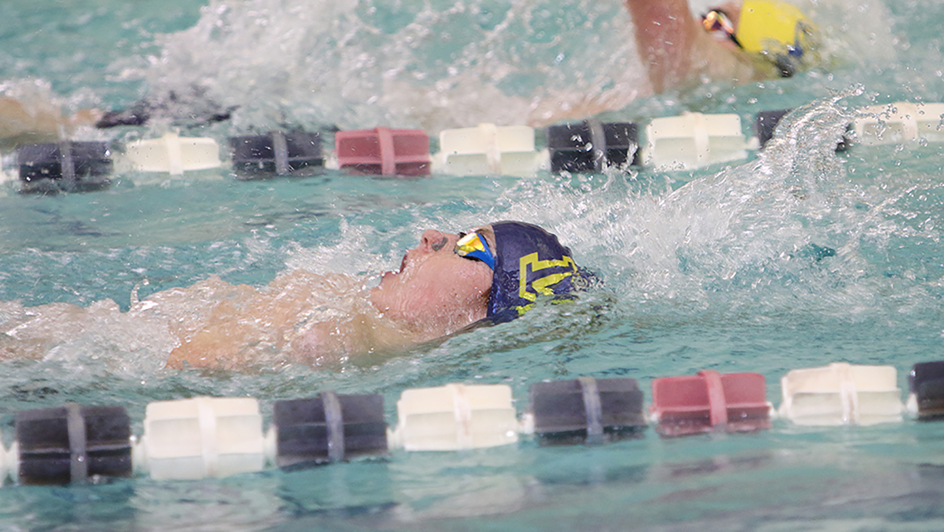 Timothy Sechler-Stone - 2019-2020 - Men's Swimming - Wilkes University ...
