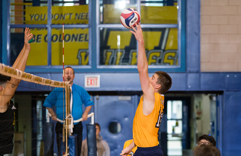 Brian Schumacher - 2018 - Men's Volleyball - Wilkes University Athletics