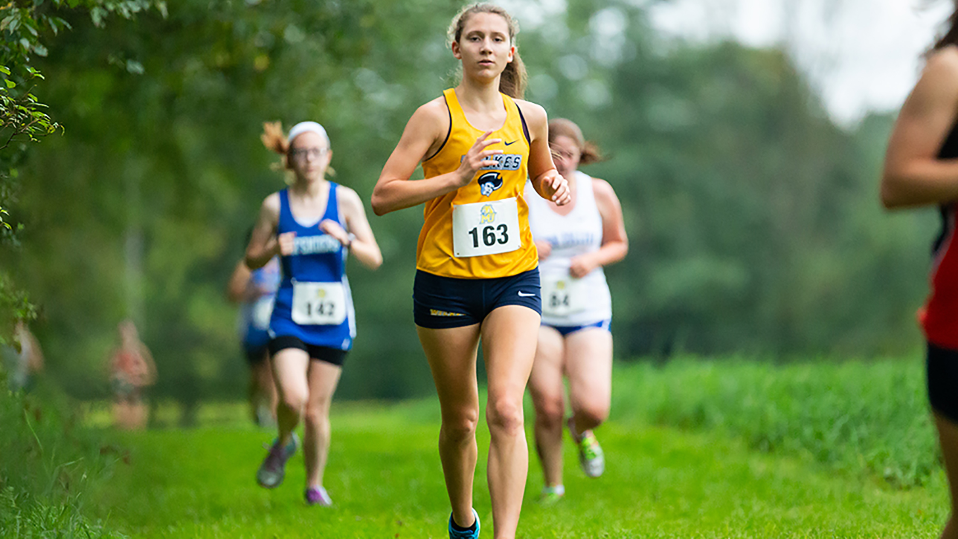 Arianna Ryan - 2021 - Women's Cross Country - Wilkes University Athletics