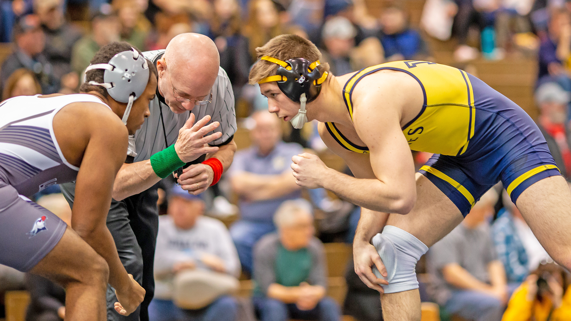 Nicholas Racanelli - 2018-2019 - Wrestling - Wilkes University Athletics