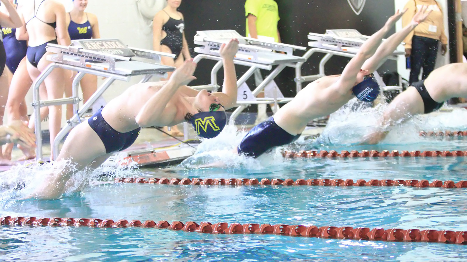 Timothy Sechler-Stone - 2019-2020 - Men's Swimming - Wilkes University ...
