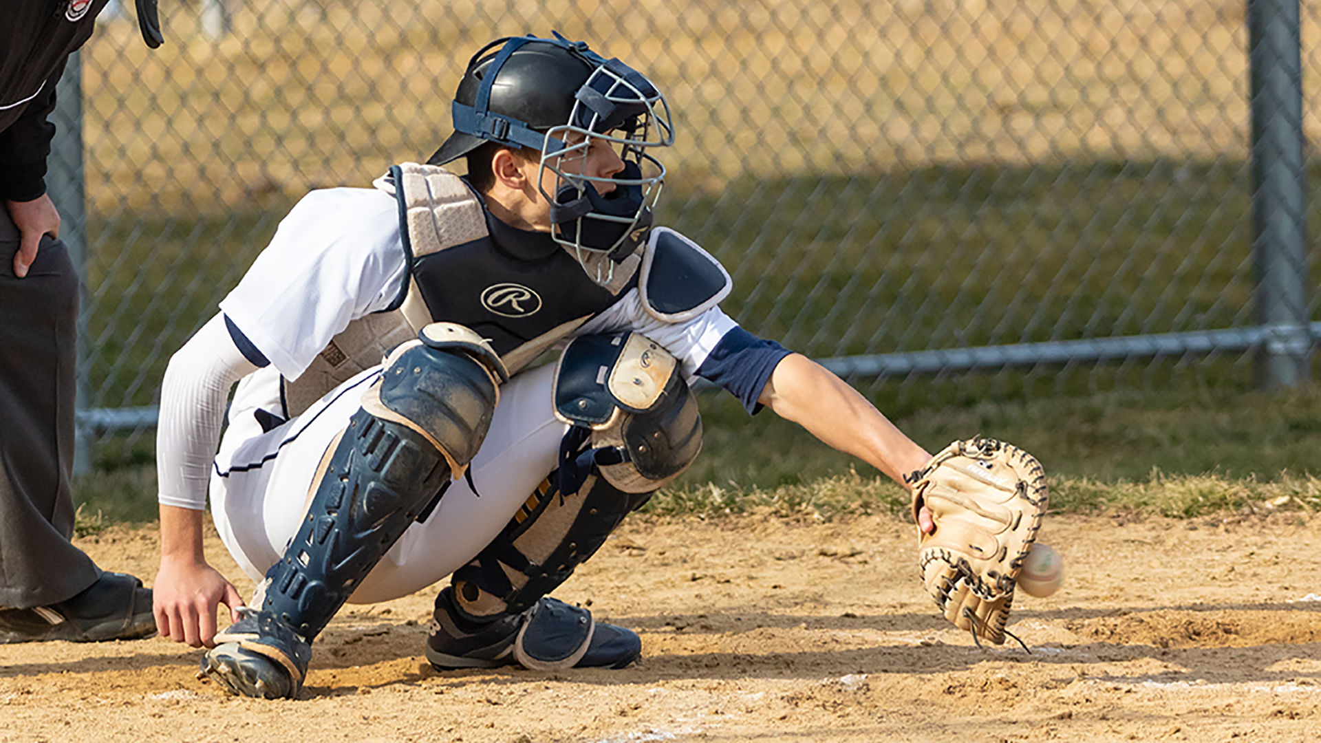 Nick Malatesta - 2021 - Baseball - Wilkes University Athletics