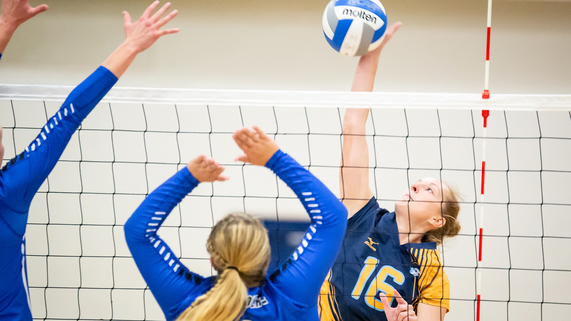 Alex Ferrier - 2019 - Women's Volleyball - Wilkes University Athletics