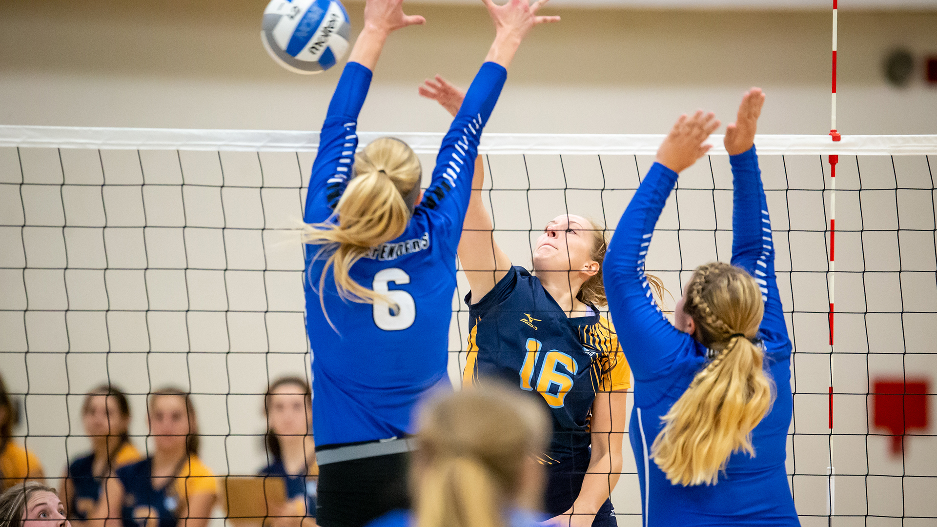 Alex Ferrier - 2019 - Women's Volleyball - Wilkes University Athletics