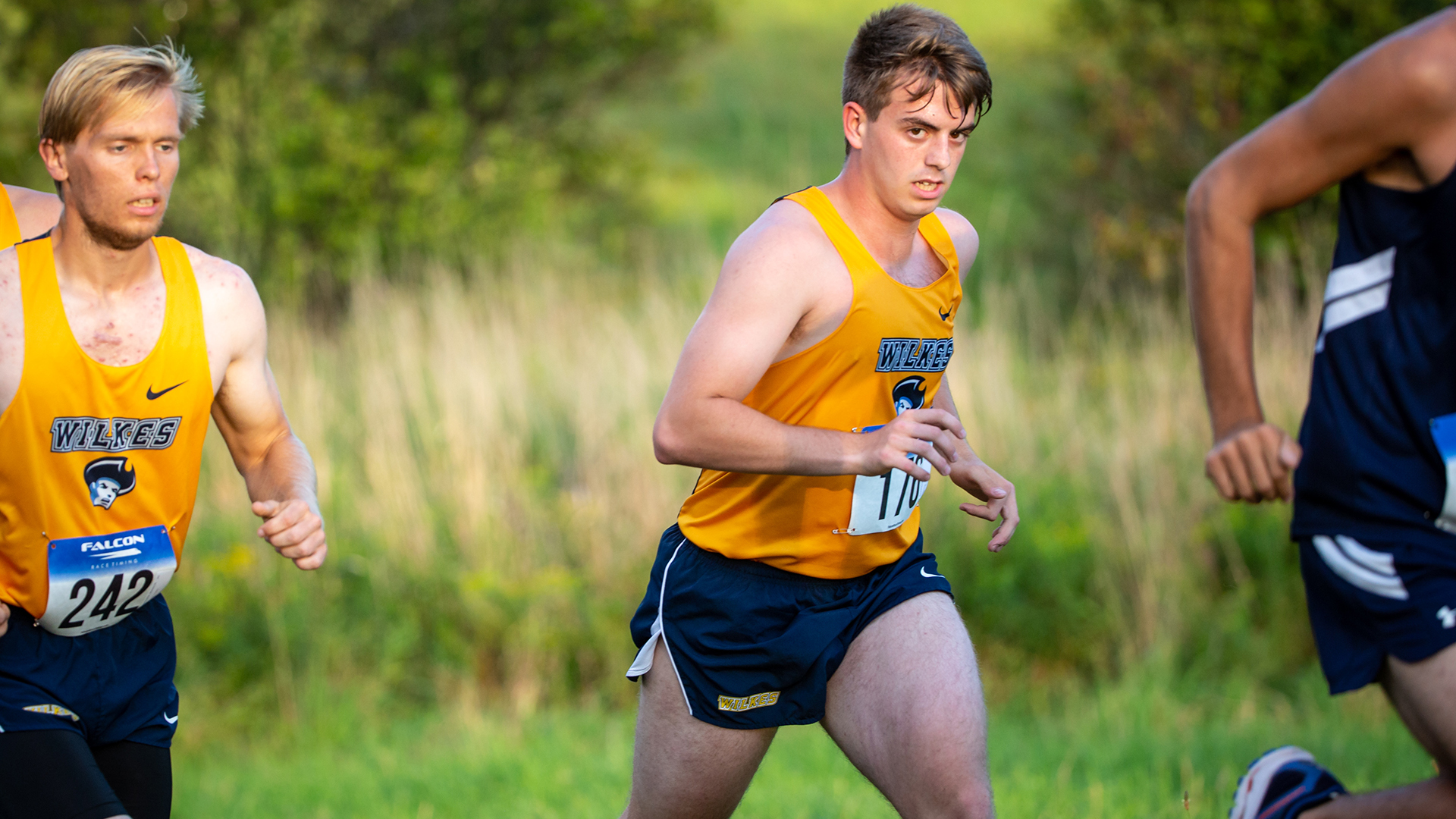 Dylan Corriere - 2019 - Men's Cross Country - Wilkes University Athletics