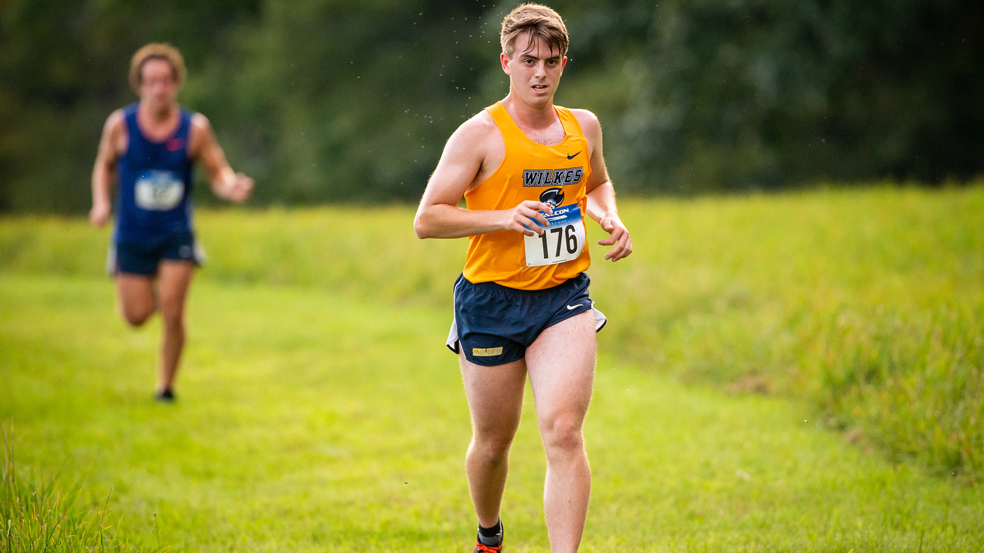 Dylan Corriere - 2019 - Men's Cross Country - Wilkes University Athletics