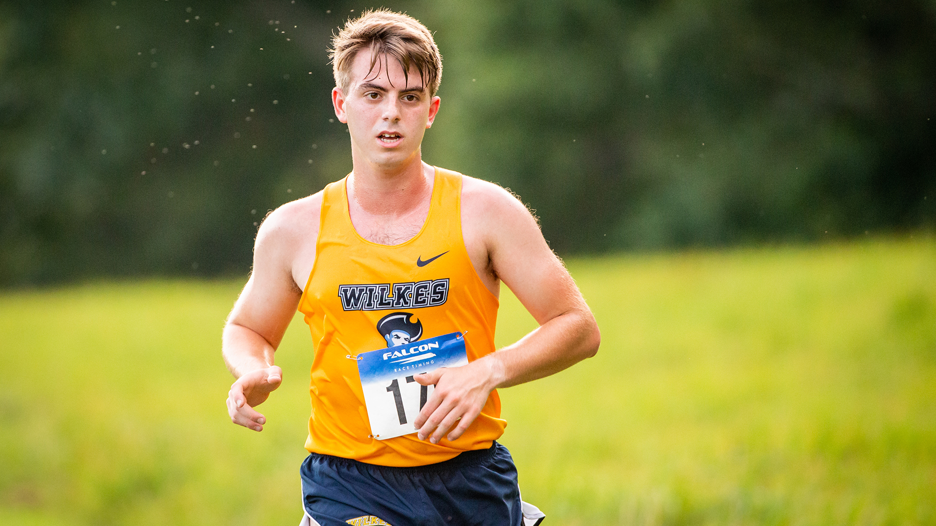 Dylan Corriere - 2019 - Men's Cross Country - Wilkes University Athletics