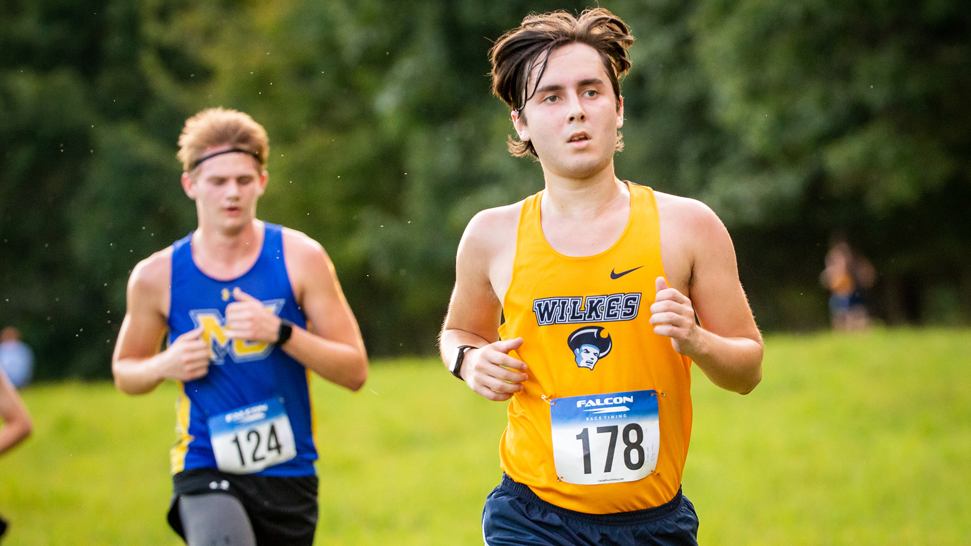 Liam Flynn - 2020 - Men's Cross Country - Wilkes University Athletics