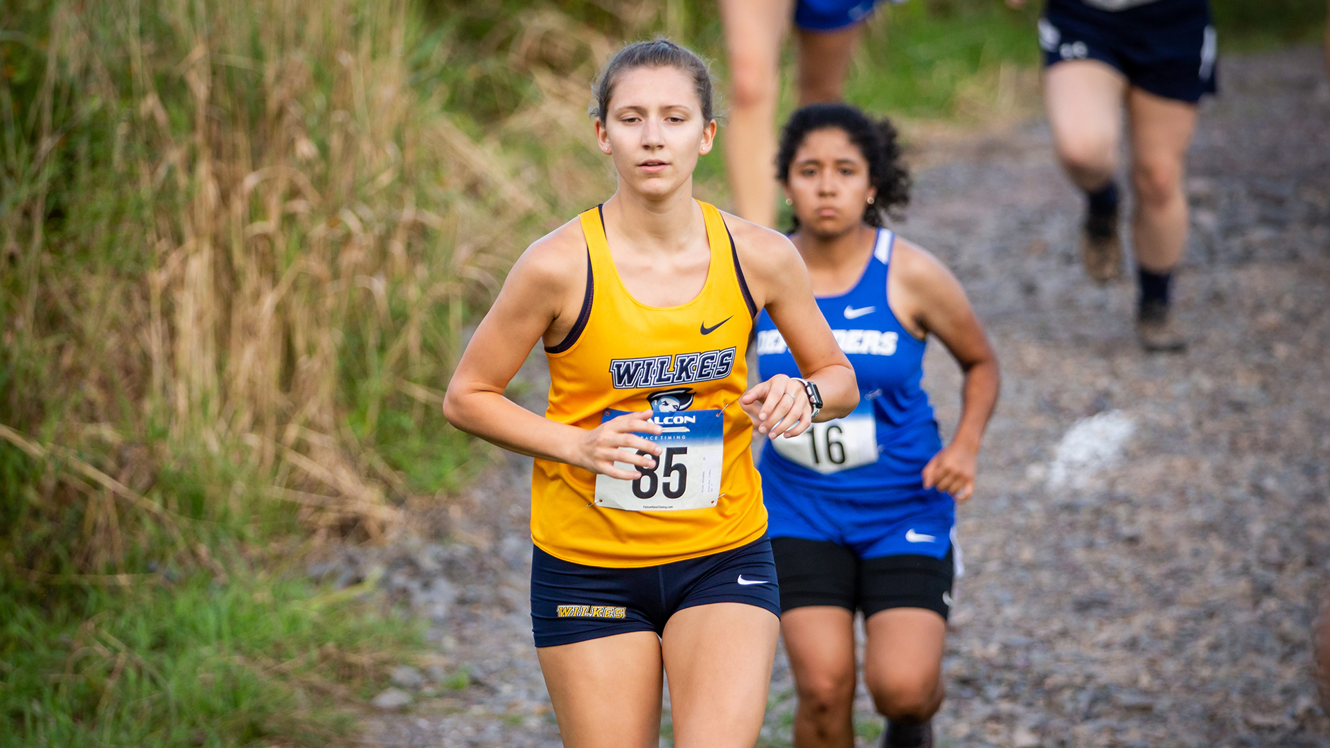 Arianna Ryan - 2021 - Women's Cross Country - Wilkes University Athletics