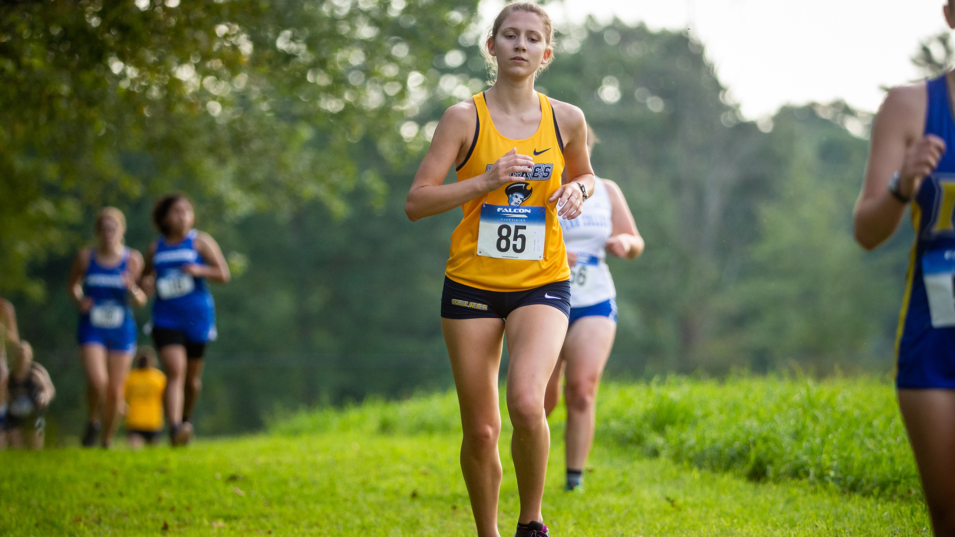 Arianna Ryan - 2021 - Women's Cross Country - Wilkes University Athletics