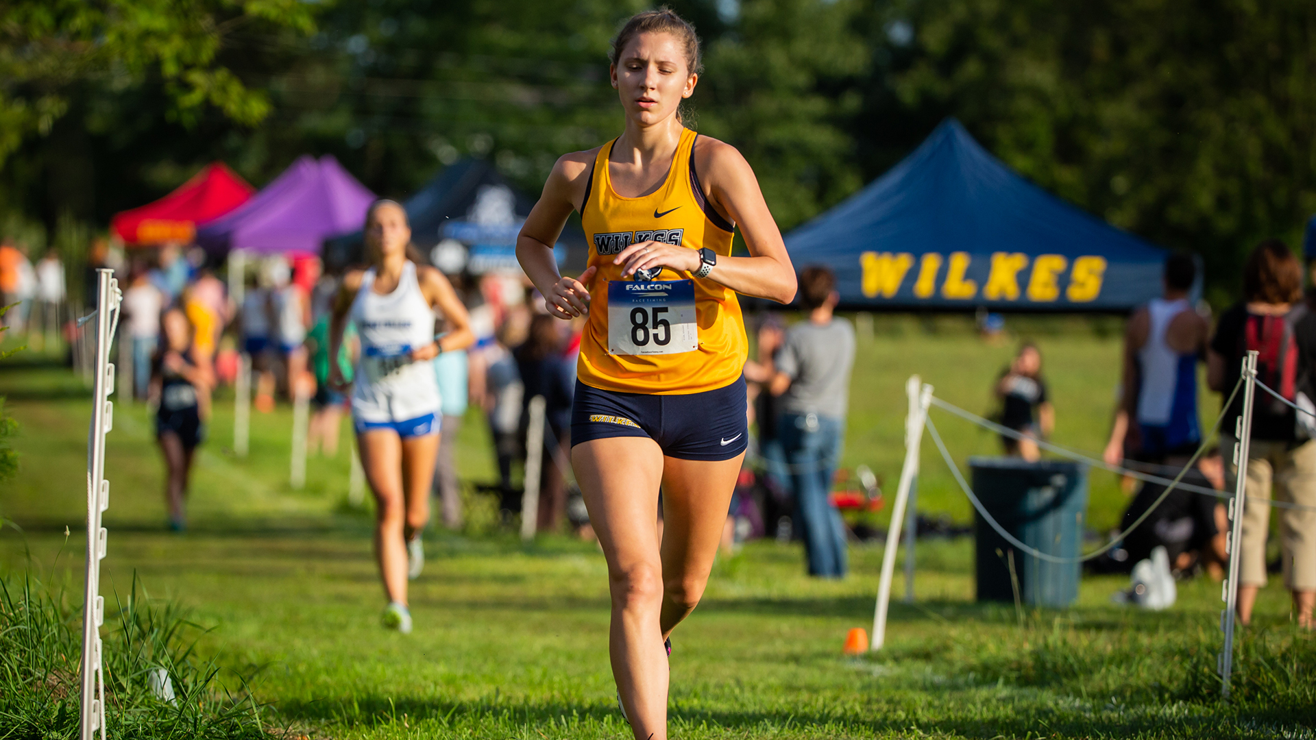 Arianna Ryan - 2021 - Women's Cross Country - Wilkes University Athletics