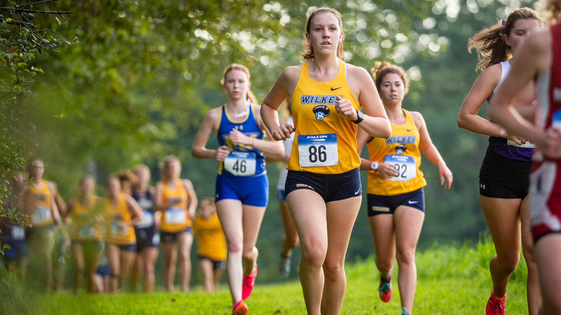 Kaitlin Sutton - 2019 - Women's Cross Country - Wilkes University Athletics