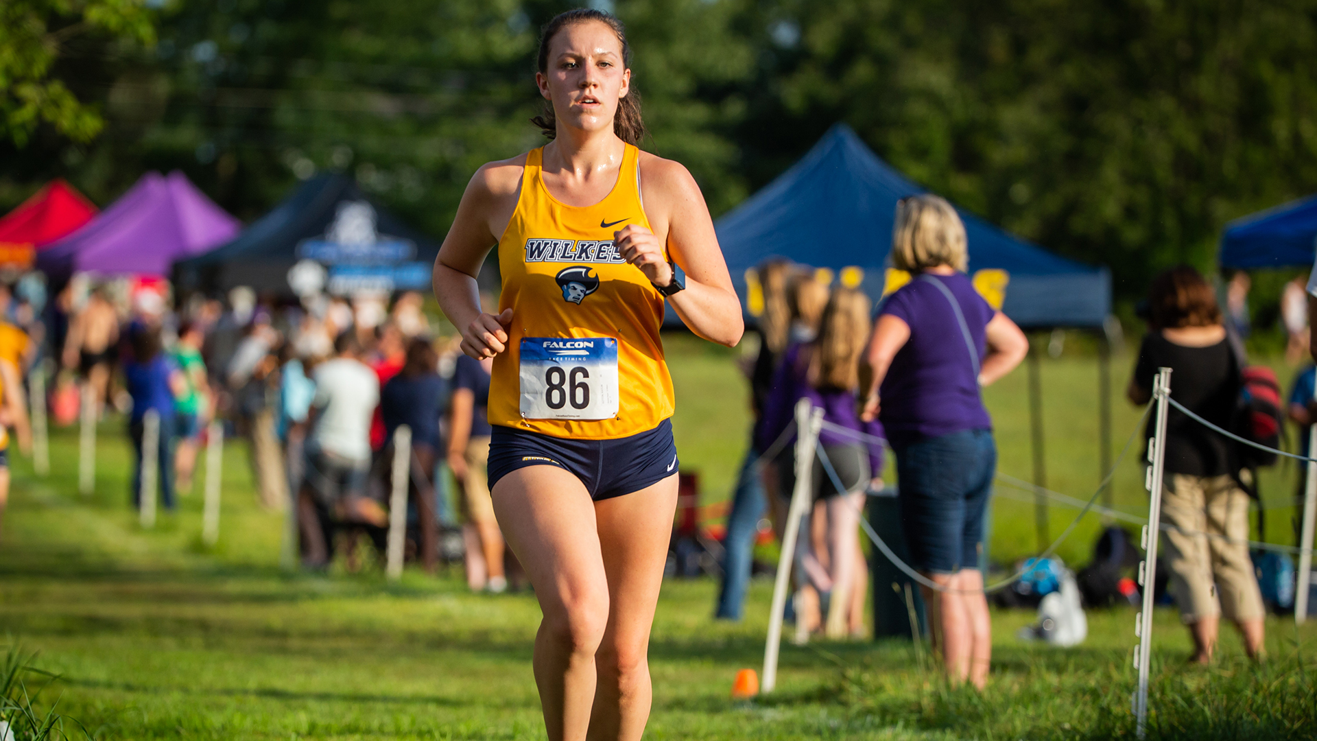 Kaitlin Sutton - 2019 - Women's Cross Country - Wilkes University Athletics