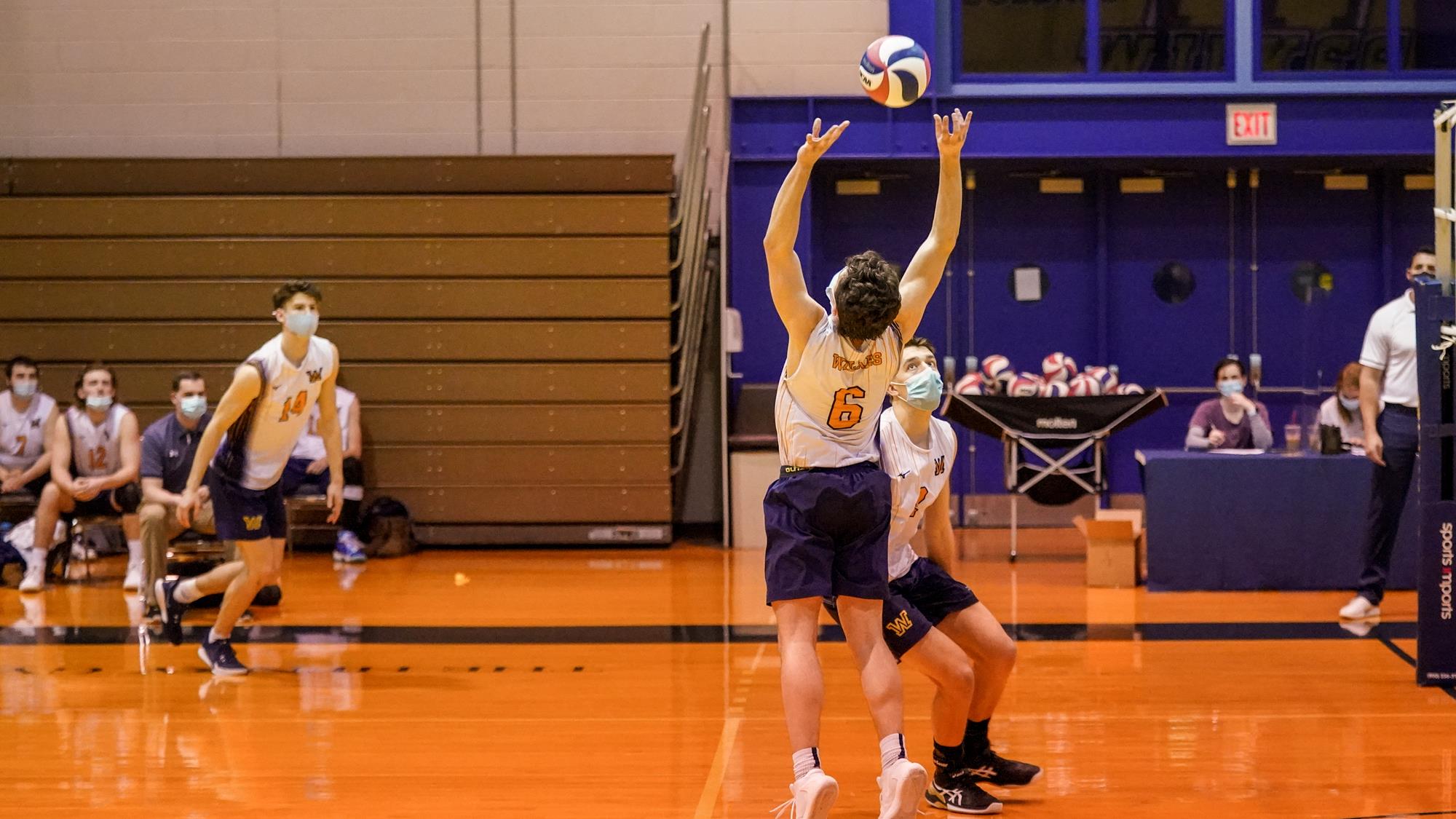 Casey Shipman - 2023 - Men's Volleyball - Wilkes University Athletics
