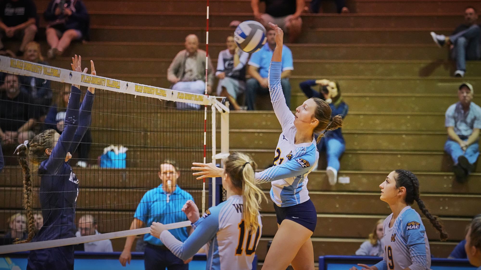 Hope Ousey - 2023 - Women's Volleyball - Wilkes University Athletics