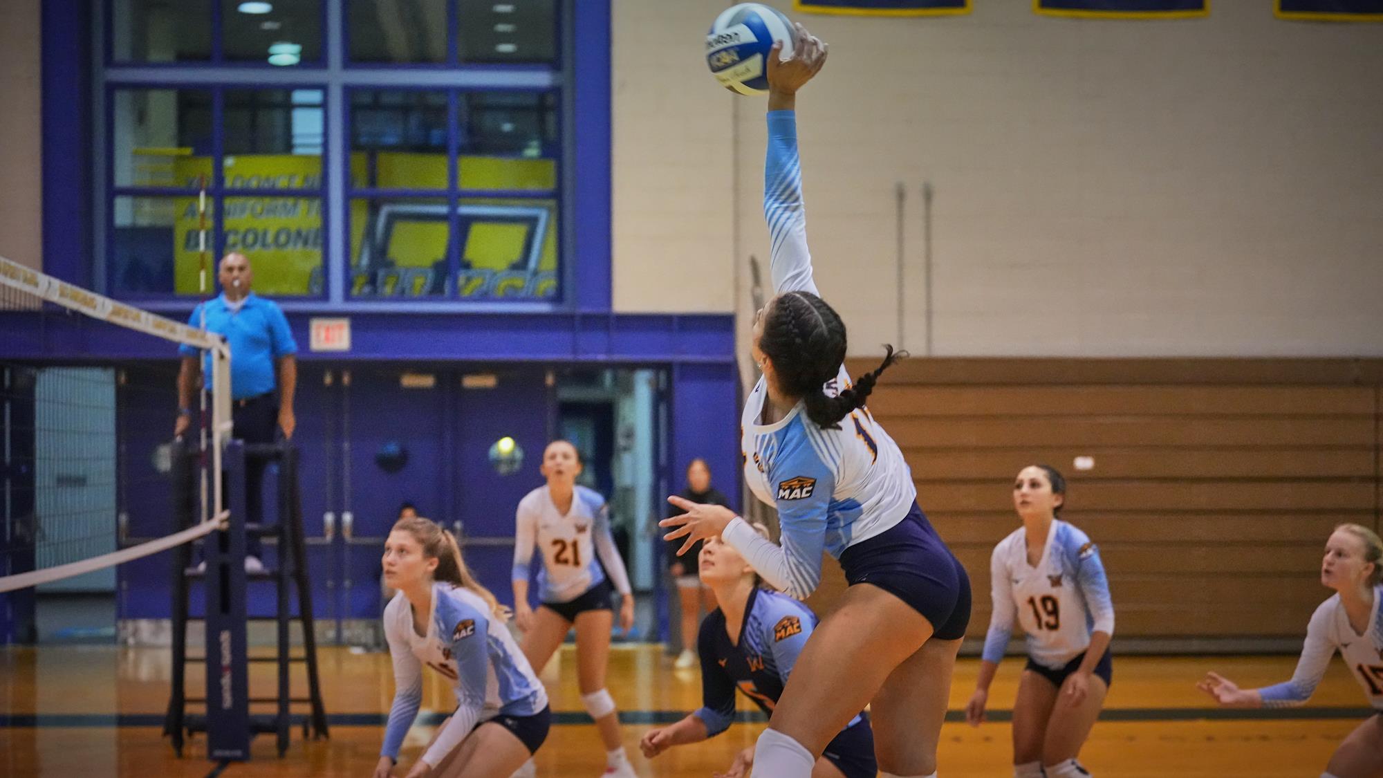 Nicole Fitzpatrick - 2023 - Women's Volleyball - Wilkes University ...