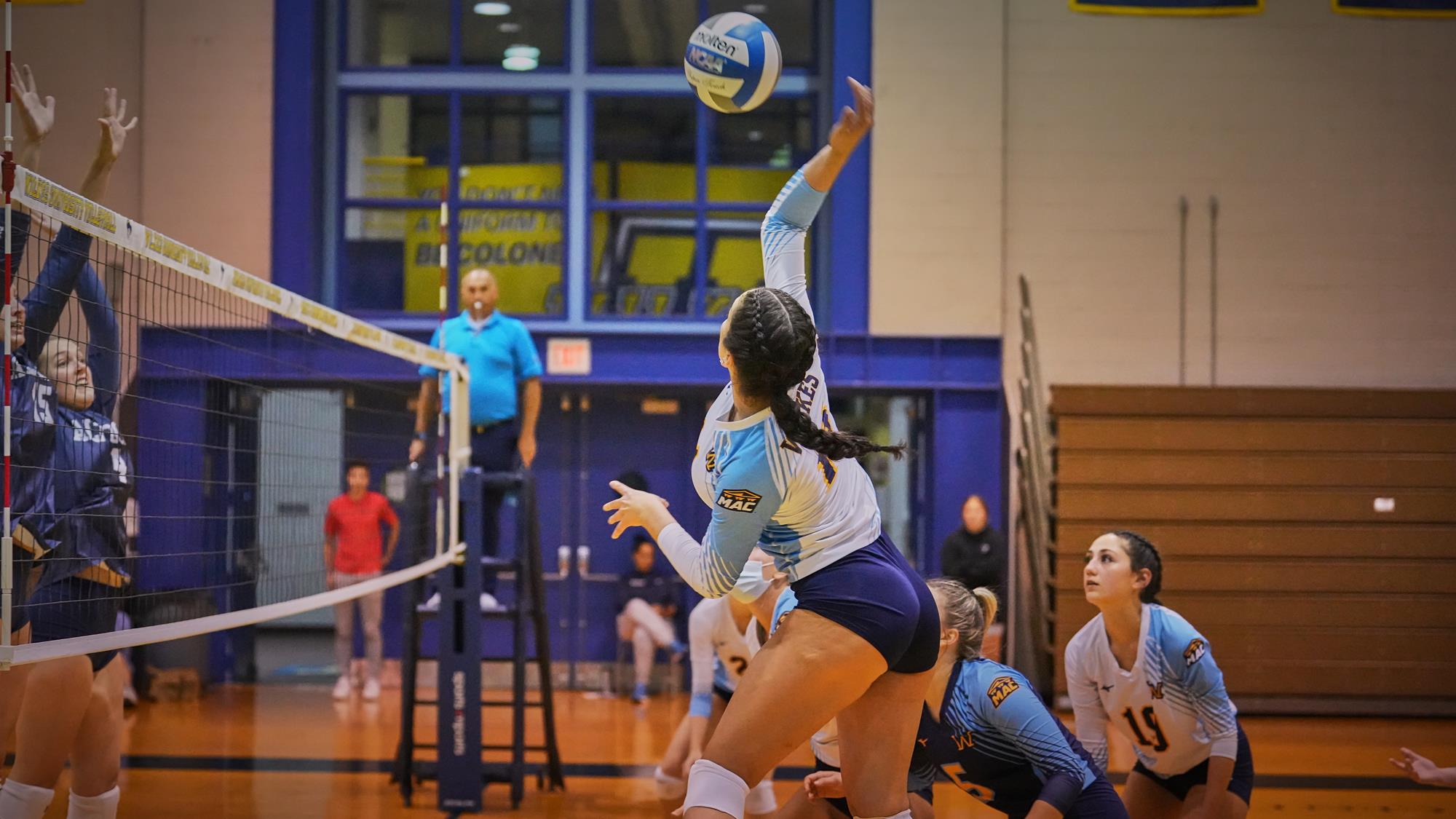 Nicole Fitzpatrick - 2023 - Women's Volleyball - Wilkes University ...