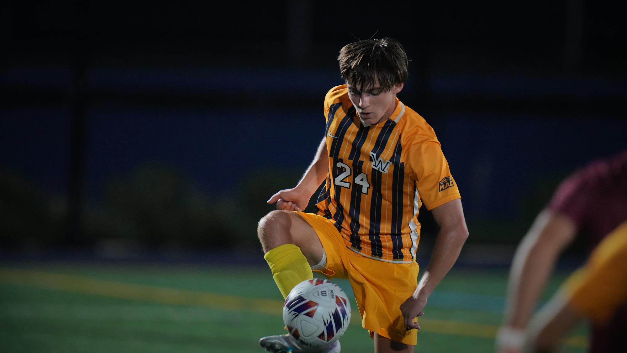 Chris Bird - 2022 - Men's Soccer - Wilkes University Athletics