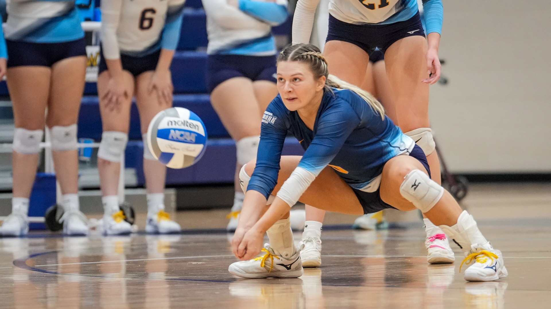 Wilkes Women’s Volleyball Team Store Open Through March 4 - Wilkes ...