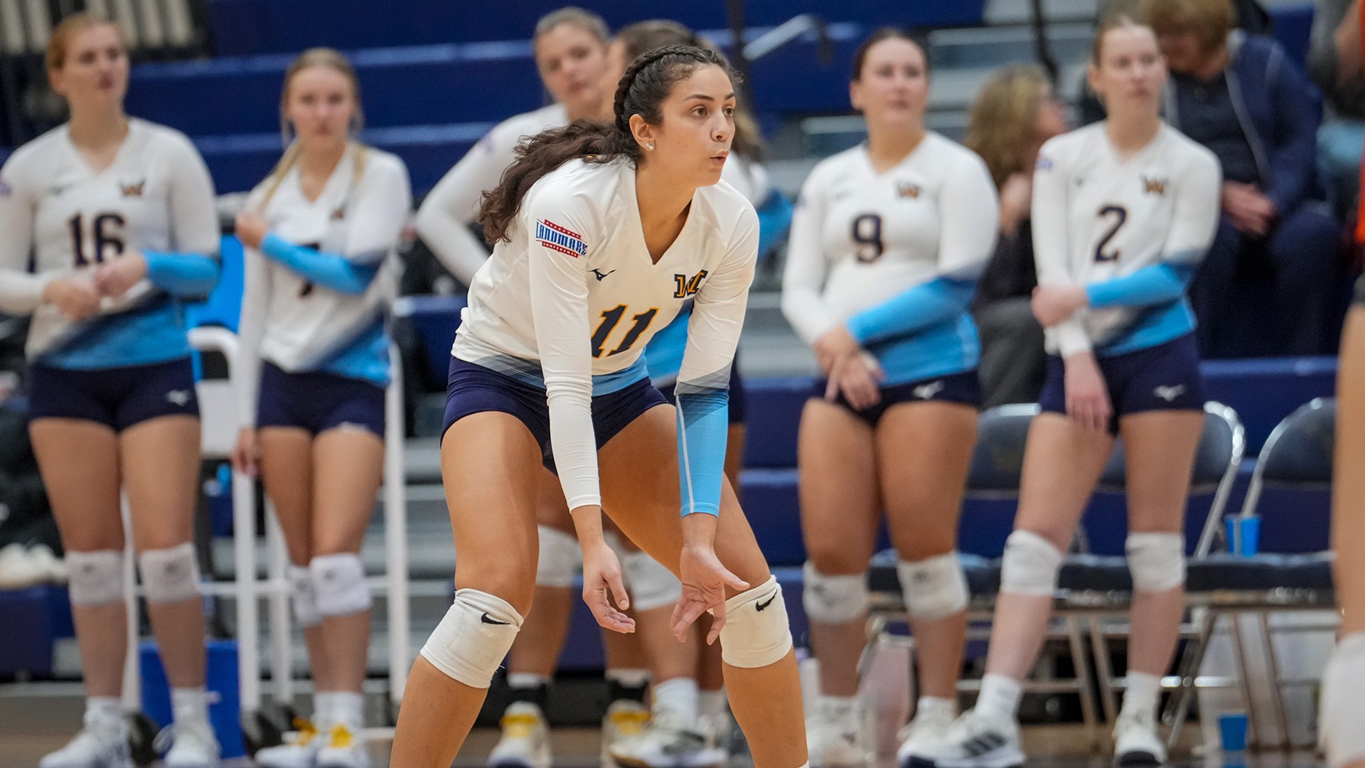 Nicole Fitzpatrick - 2023 - Women's Volleyball - Wilkes University ...