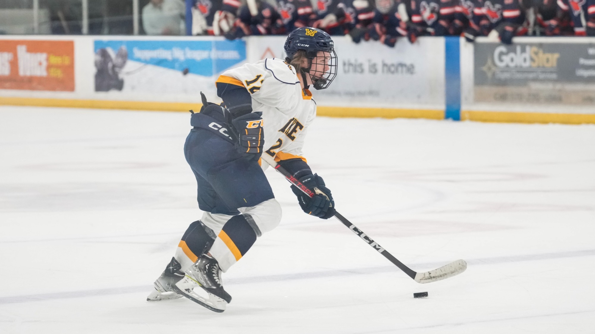 Steven Spetz - 2023-2024 - Men's Ice Hockey - Wilkes University Athletics