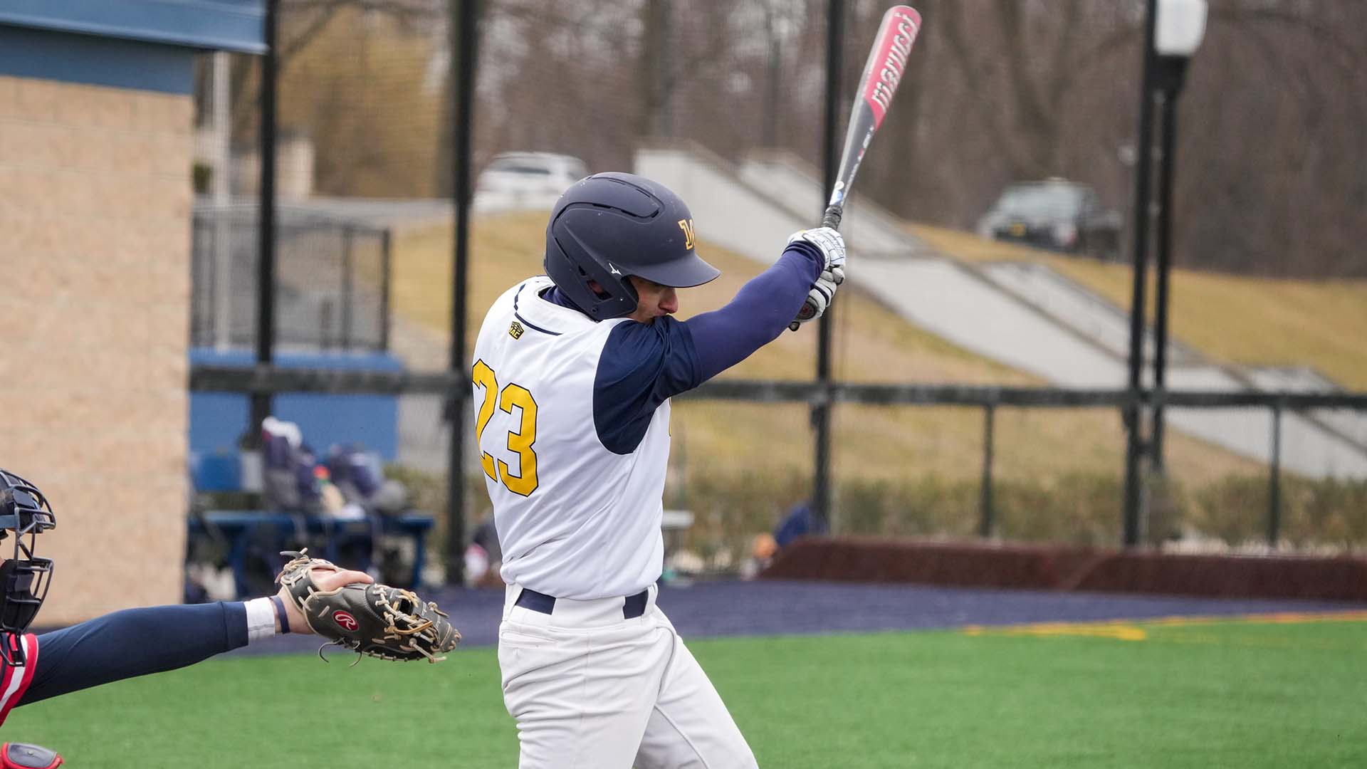 Jason Spezzaferra - 2023 - Baseball - Wilkes University Athletics