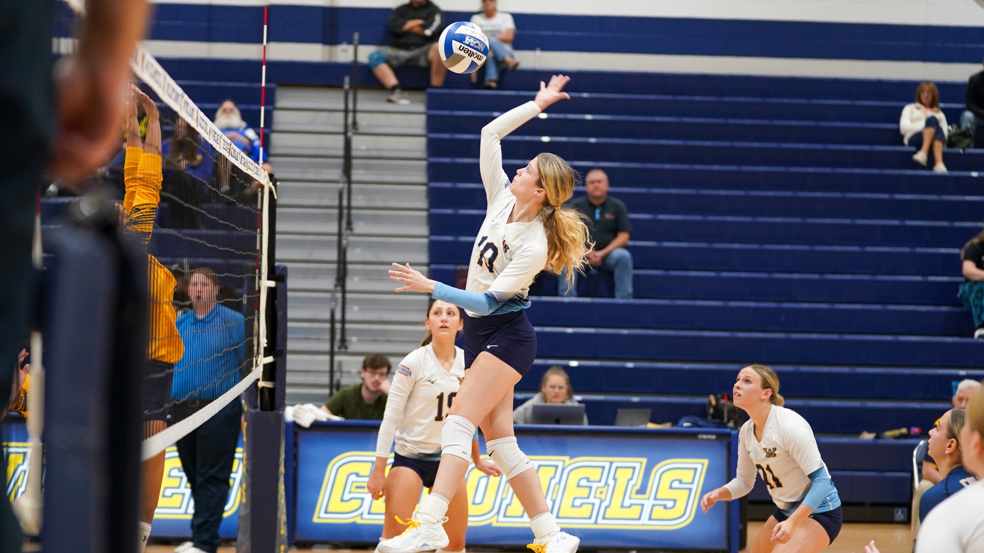 Hines Selected as All-Landmark Honorable Mention - Wilkes University ...