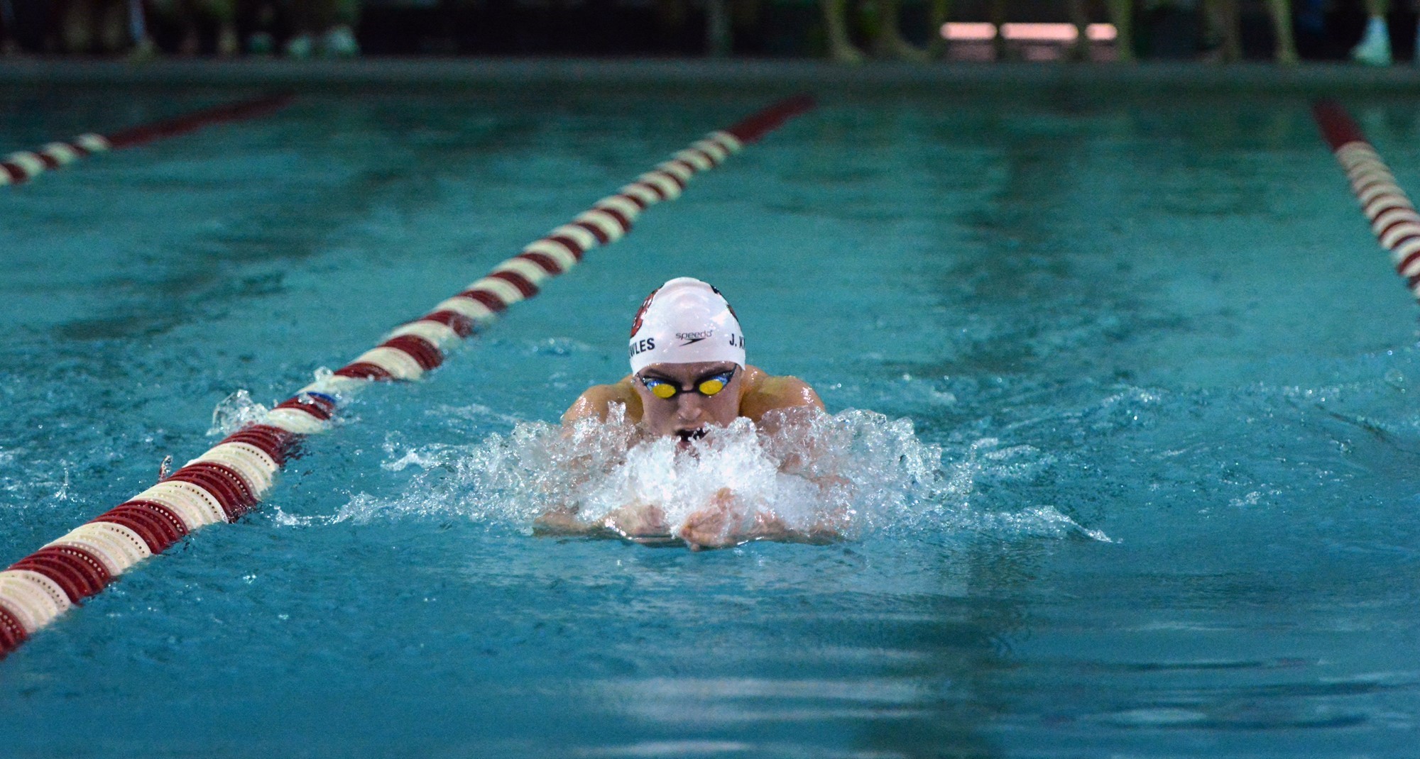 Jacob Knowles - Swimming and Diving - University of South Dakota Athletics