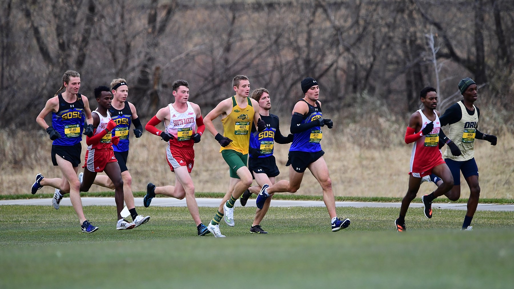 Merga Gemeda - Cross Country - University of South Dakota Athletics