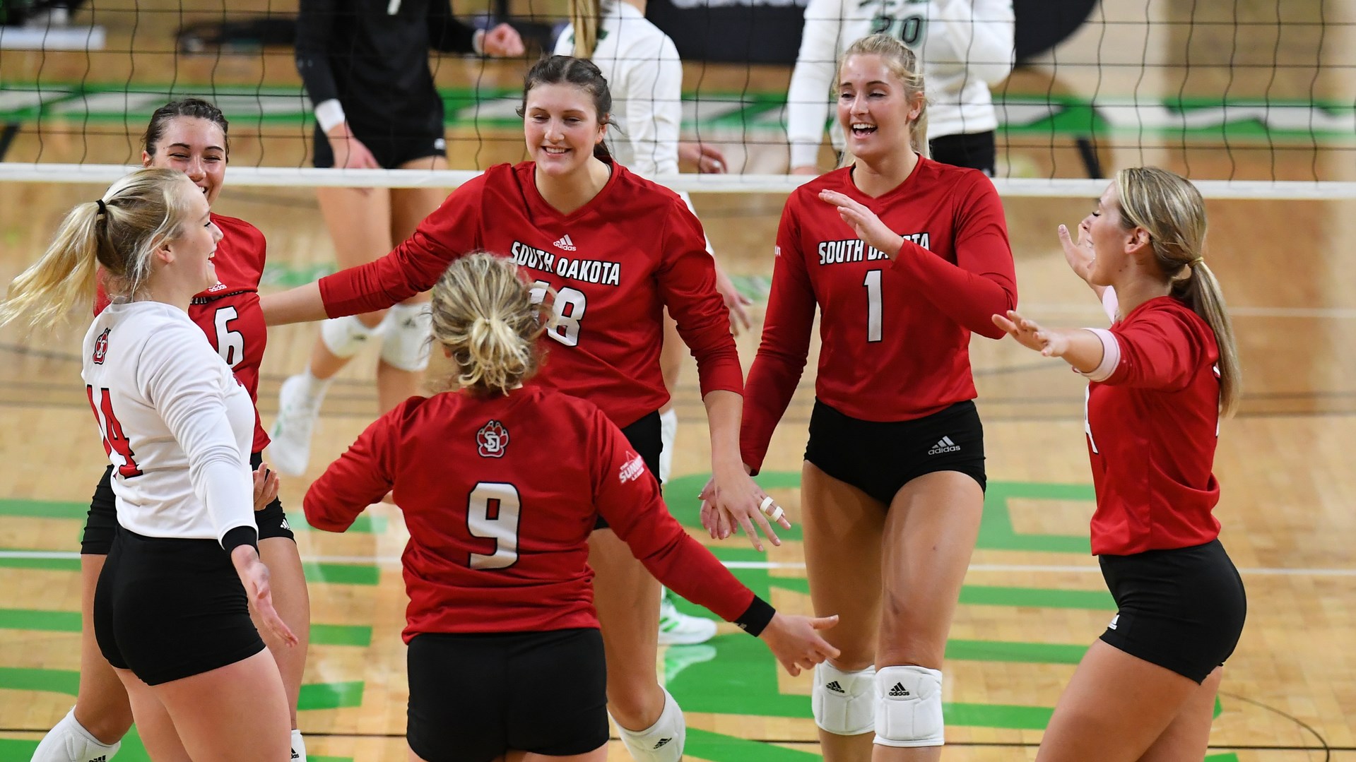 Coyotes sweep North Dakota in Summit opener - University of South ...