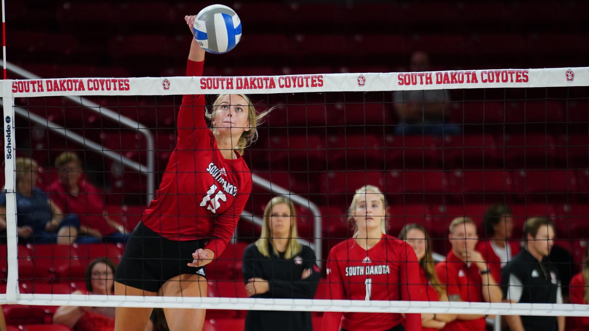 Atley Carey - Women's Volleyball - University of South Dakota Athletics