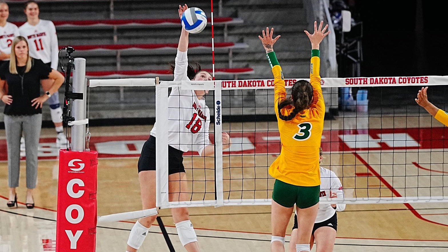 Maddie Wiedenfeld - Women's Volleyball - University of South Dakota ...