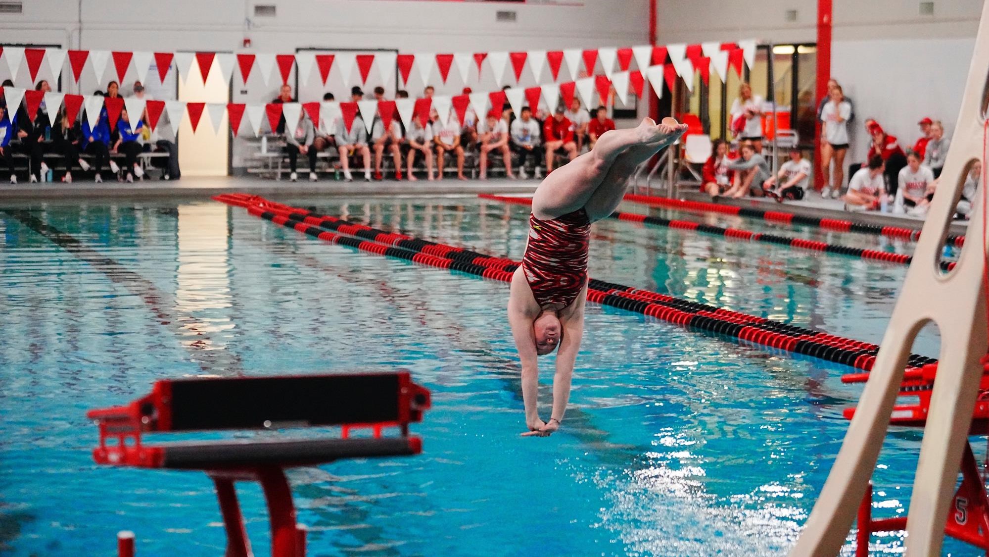 Fairbanks competes at Zone Diving Championships - University of South ...