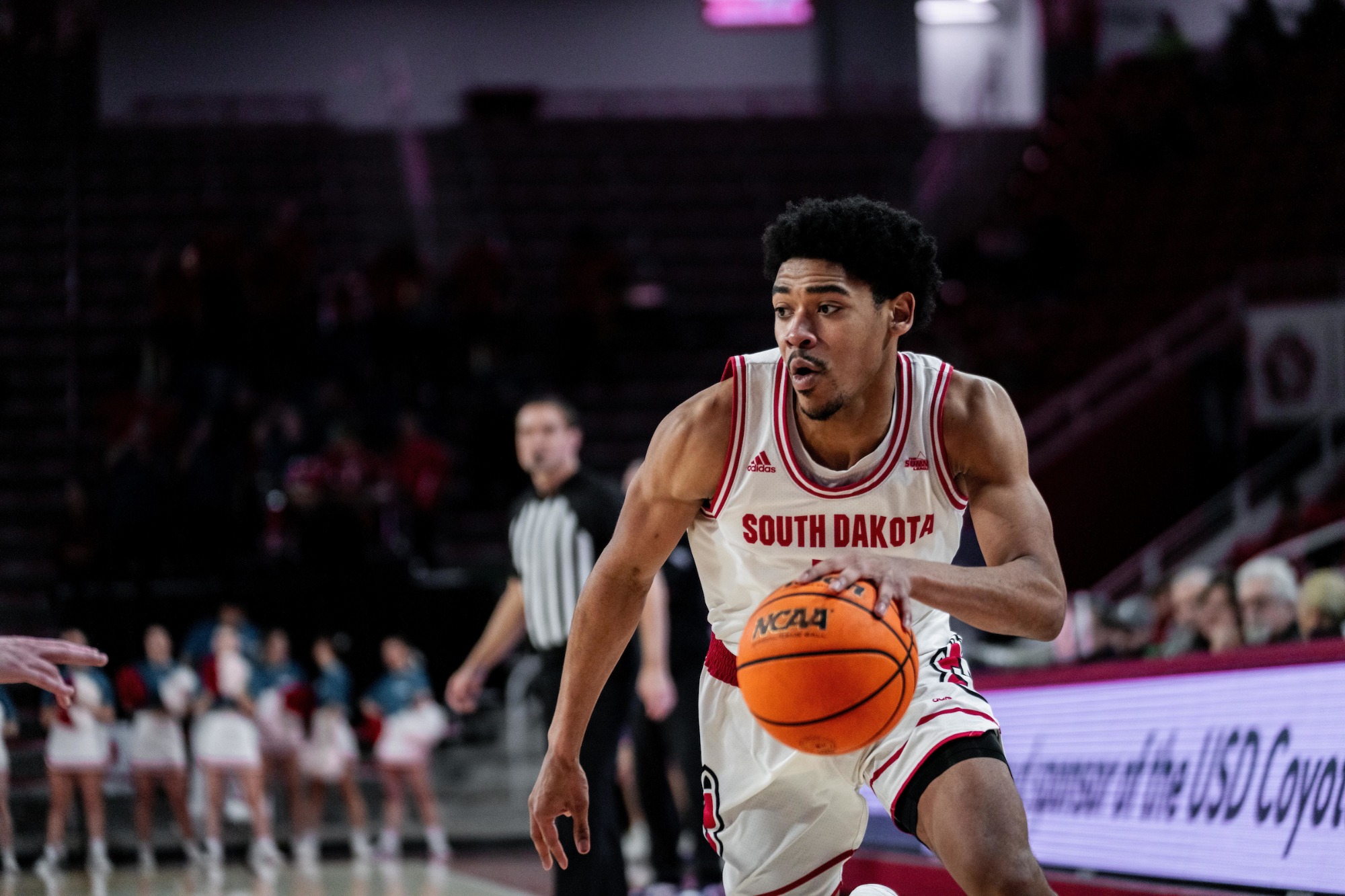 Bostyn Holt - Men's Basketball - University of South Dakota Athletics