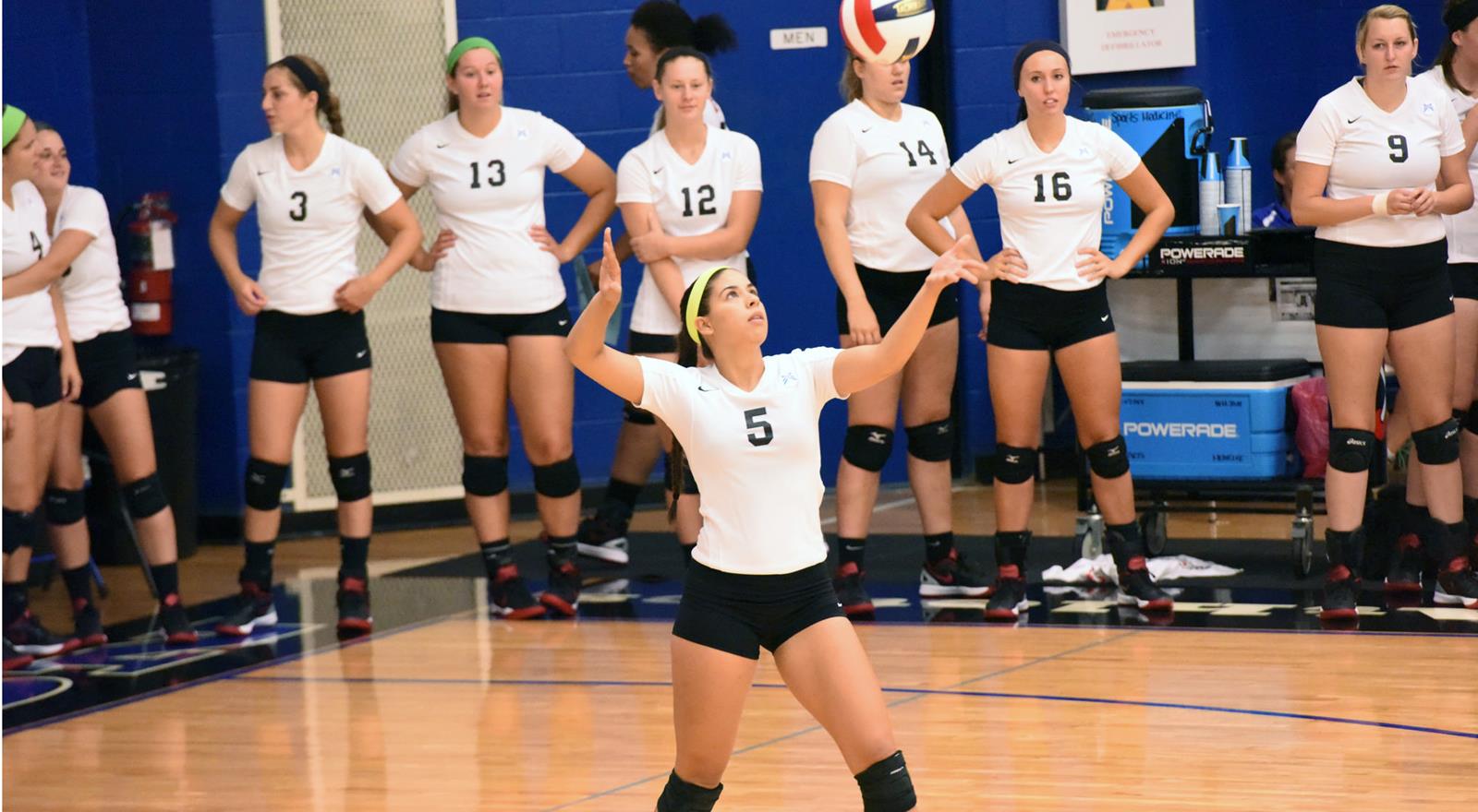 Annie Salazar - Women's Volleyball - Grace College Athletics