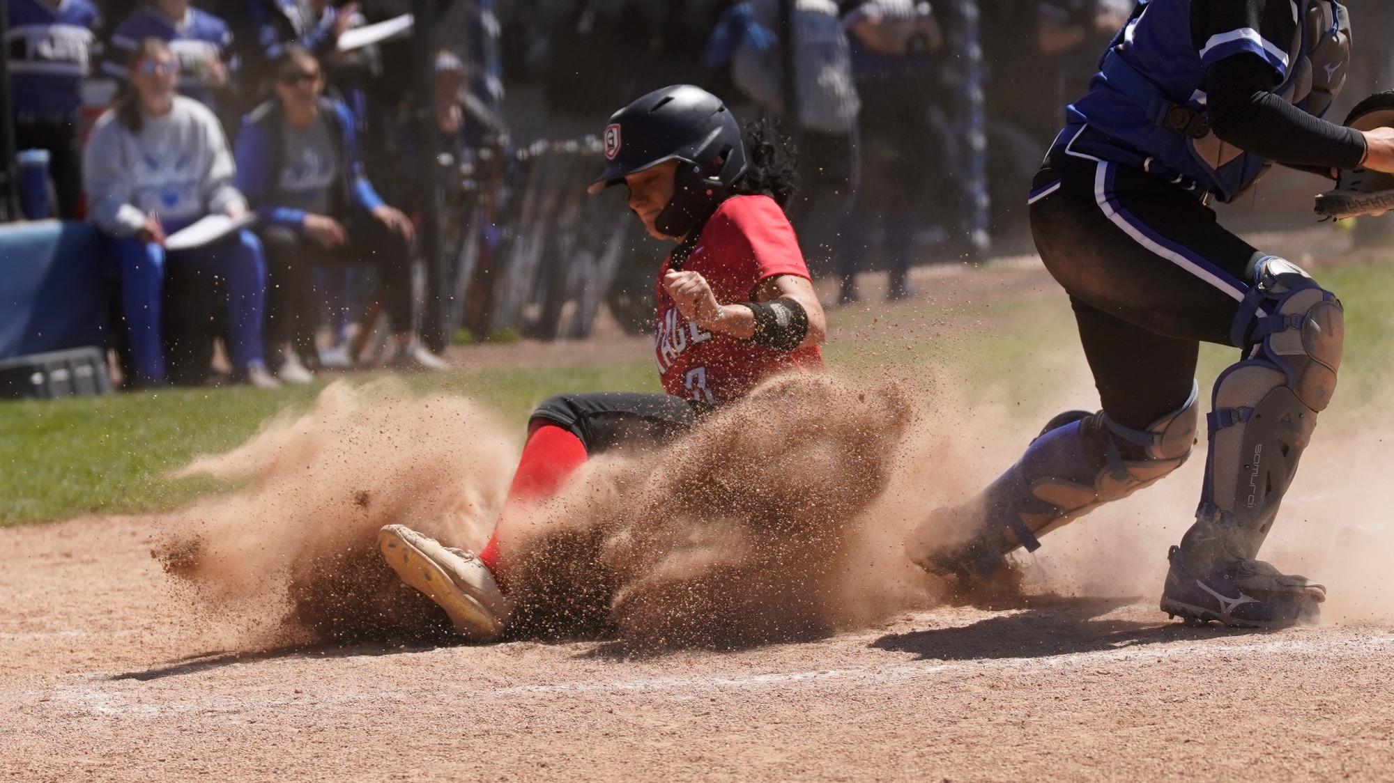 Grace downs Pilots with doubleheader sweep - Grace College Athletics