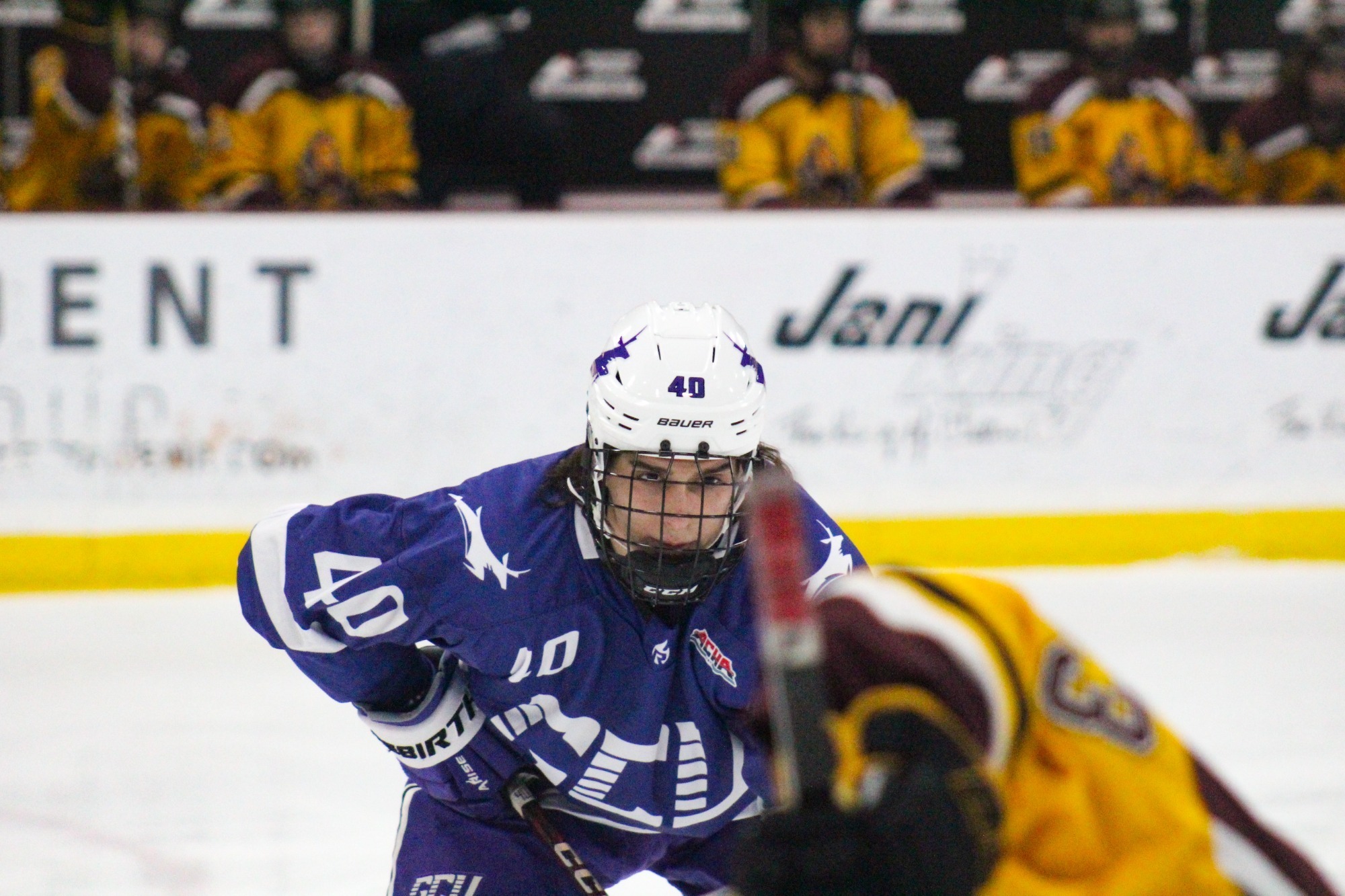 GCU Men’s Hockey earns 1st-ever trip to ACHA D1 National Championships ...