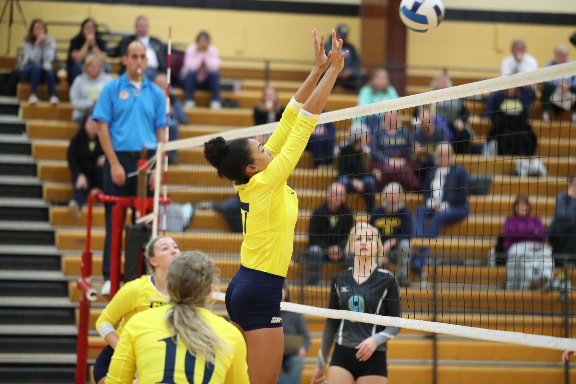 Kayla Salyer - 2018 - Women's Volleyball - GRCC Athletics