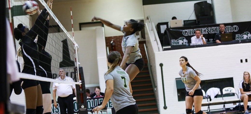 Shayla Moss - 2017 - Women's Volleyball - Greensboro College Athletics