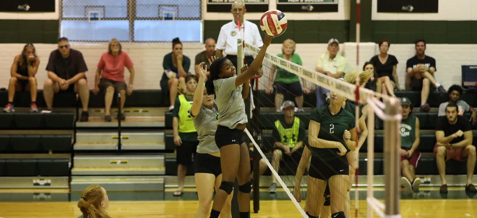 Shayla Moss - 2017 - Women's Volleyball - Greensboro College Athletics