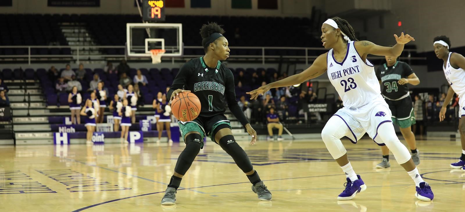 Ashley Free - 2019-20 - Women's Basketball - Greensboro College Athletics