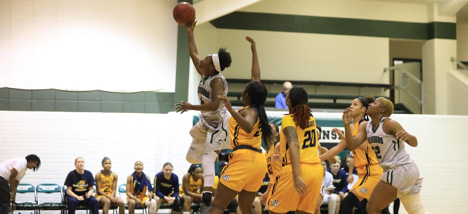 Ashley Free - 2019-20 - Women's Basketball - Greensboro College Athletics