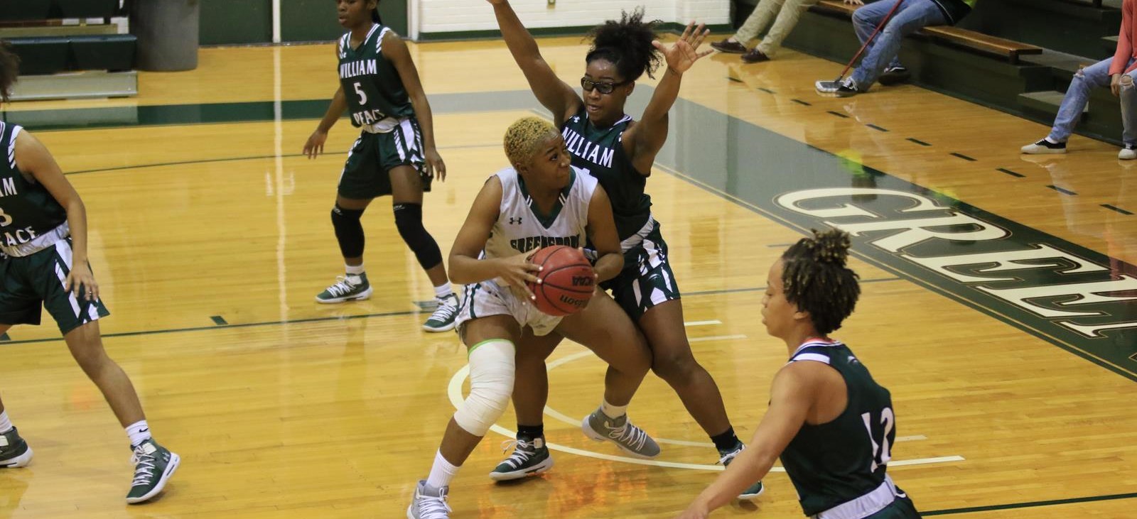 Brianna Best - 2018-19 - Women's Basketball - Greensboro College Athletics