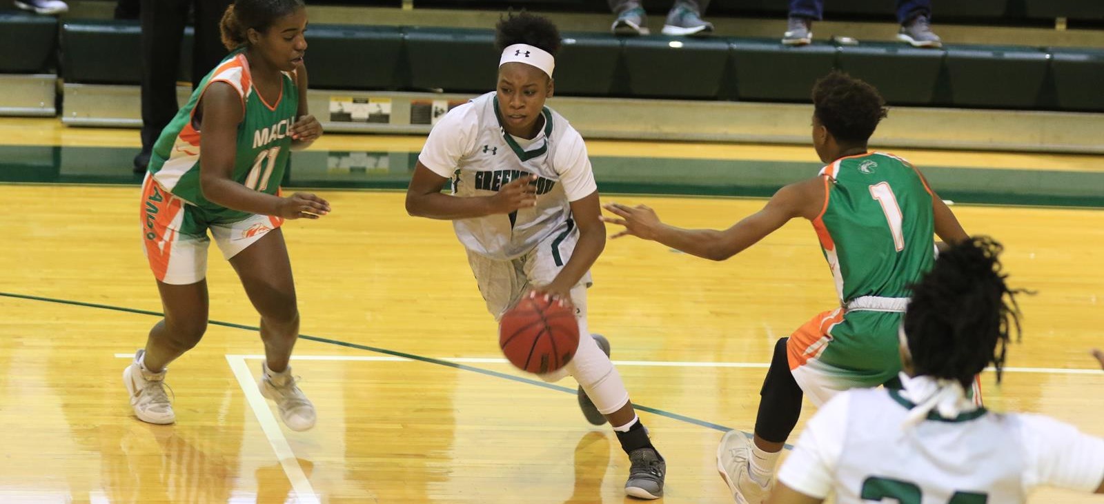 Ashley Free - 2019-20 - Women's Basketball - Greensboro College Athletics