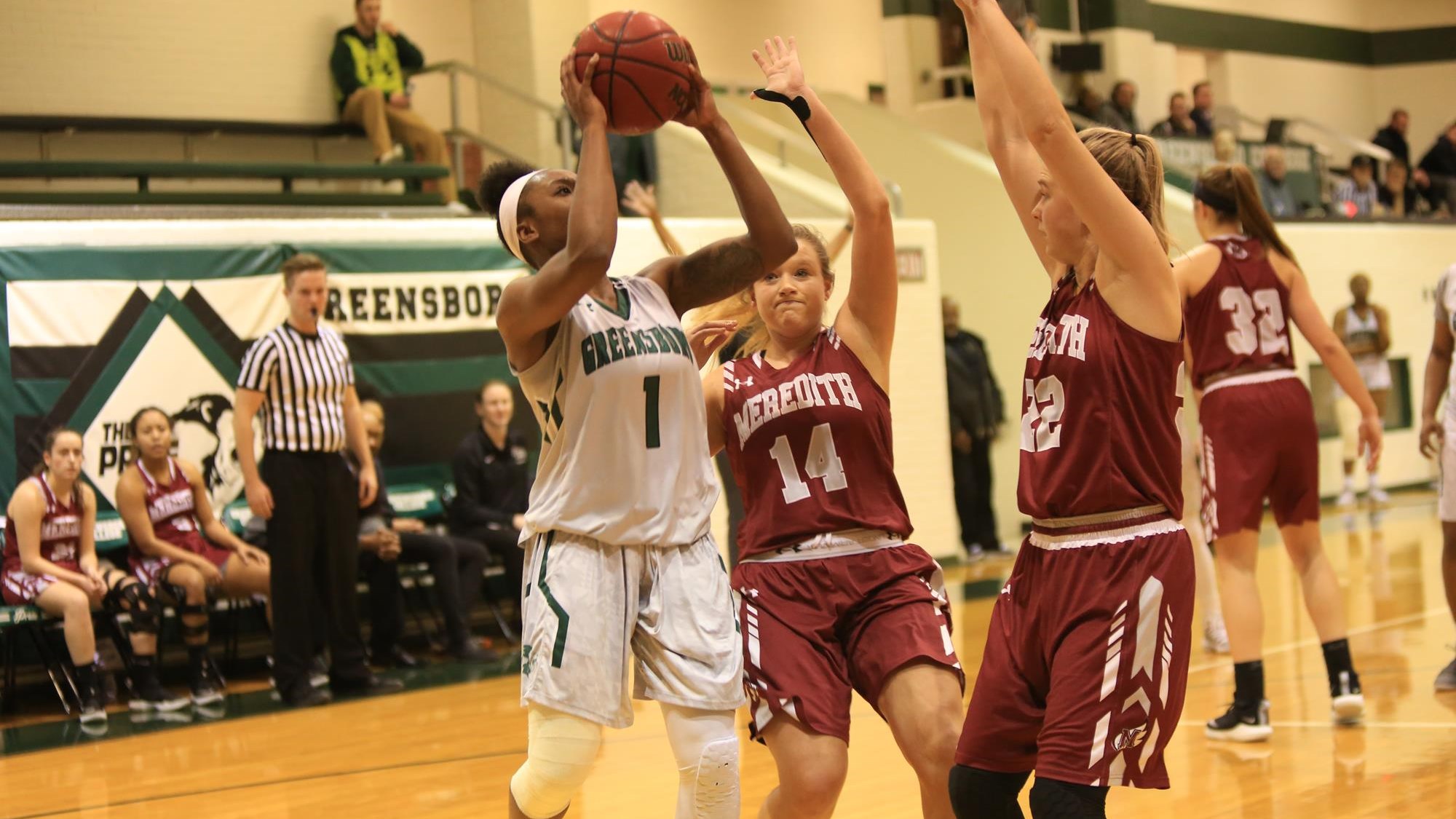 Ashley Free - 2019-20 - Women's Basketball - Greensboro College Athletics