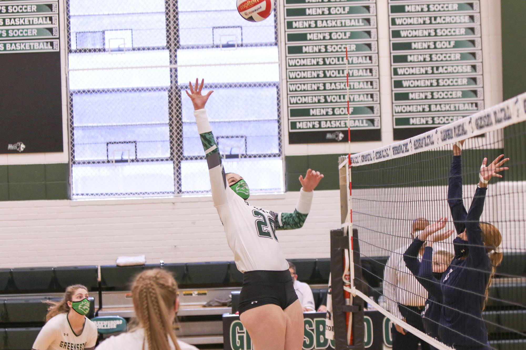 Sarah Oakes - 2021 - Women's Volleyball - Greensboro College Athletics
