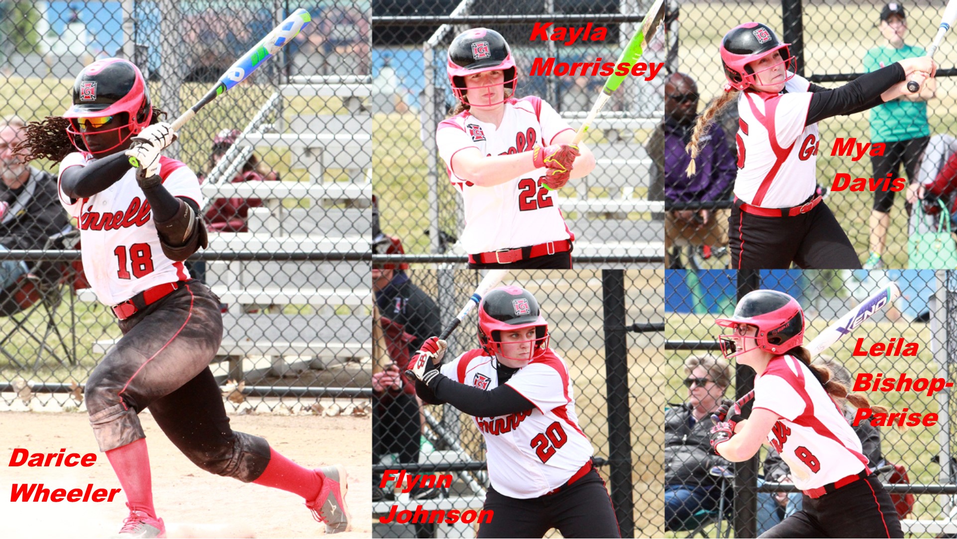 Darice Wheeler is MWC Softball Player of the Year, 4 other Pioneers ...