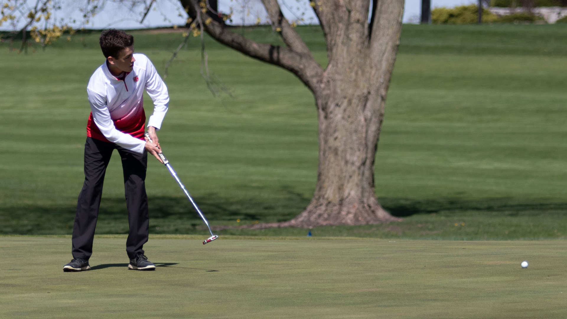 Ian Strawn - Men's Golf - Grinnell College Athletics